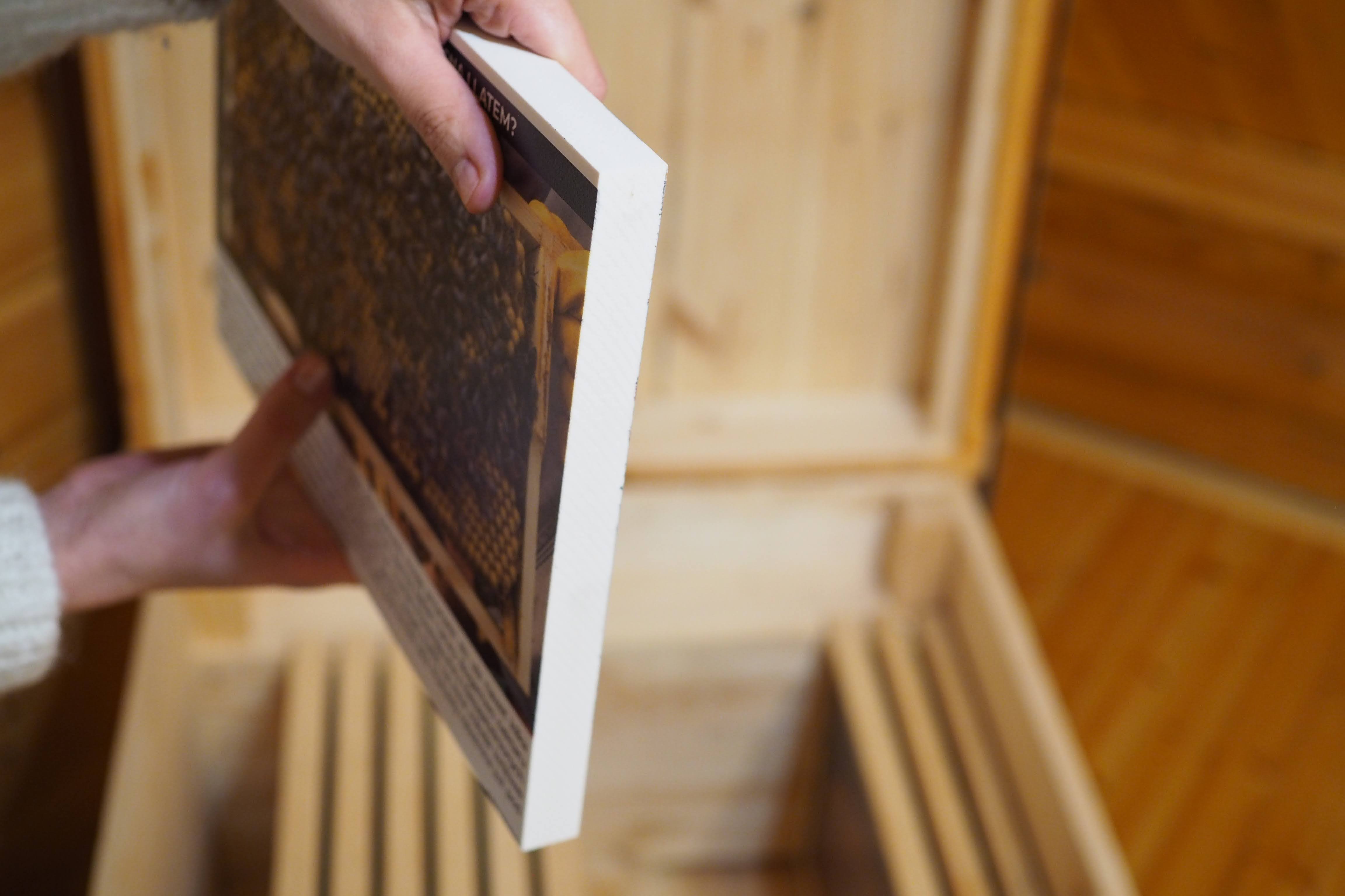 Educational hive – Pszczelarium